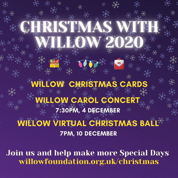Festive fundraising with Willow this Christmas! - Willow