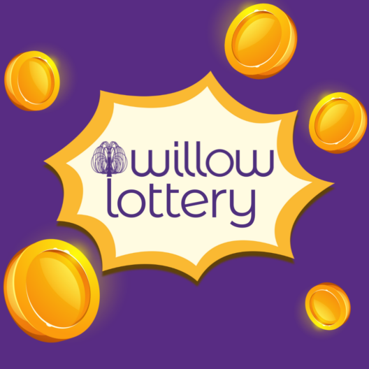 Welcome to the Willow Foundation