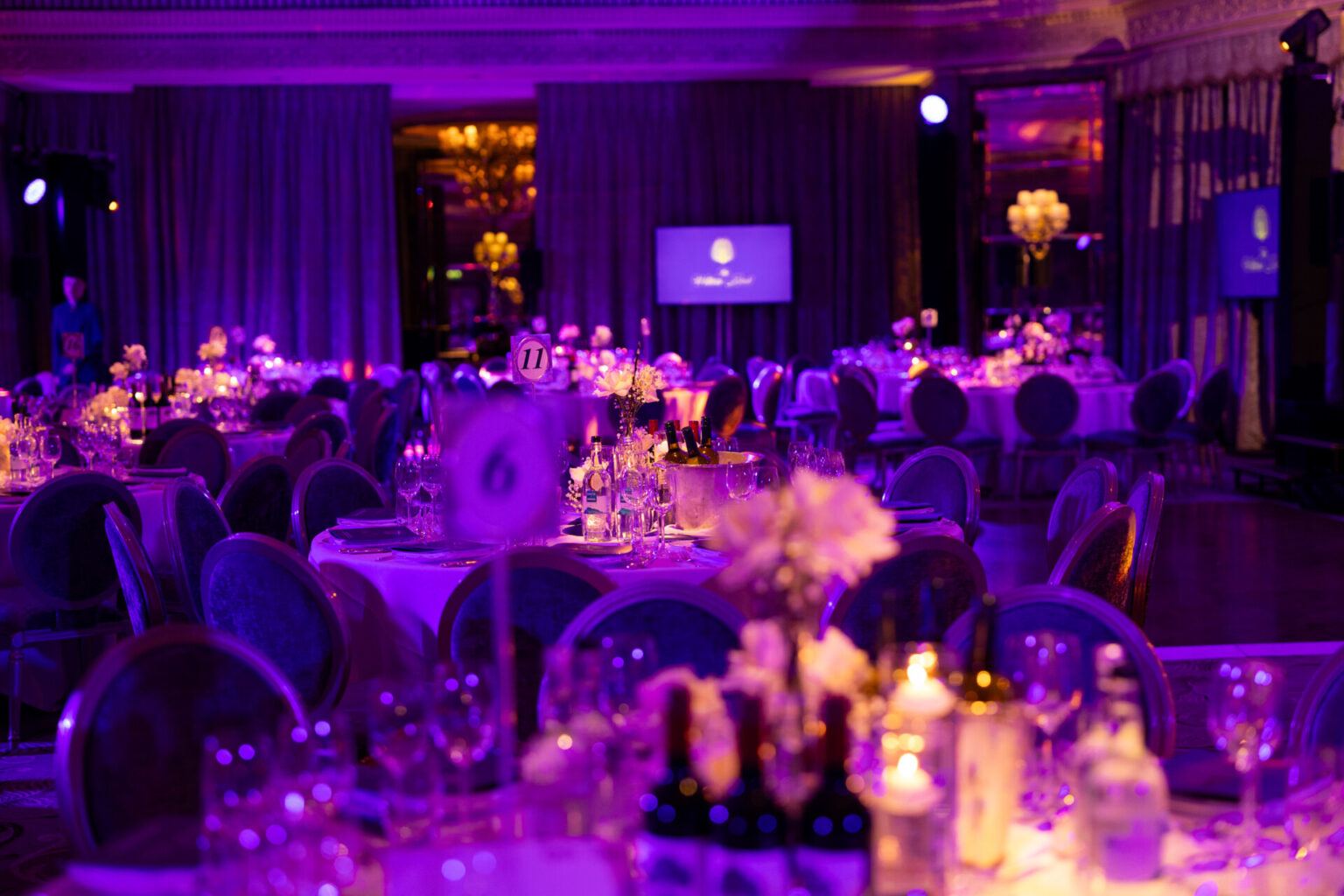 Willow Charity Ball 2025 - a night of celebration and fundraising - Willow